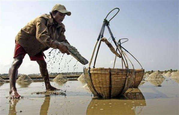Burmese Salt Prices Soar Amid China Panic Buying
